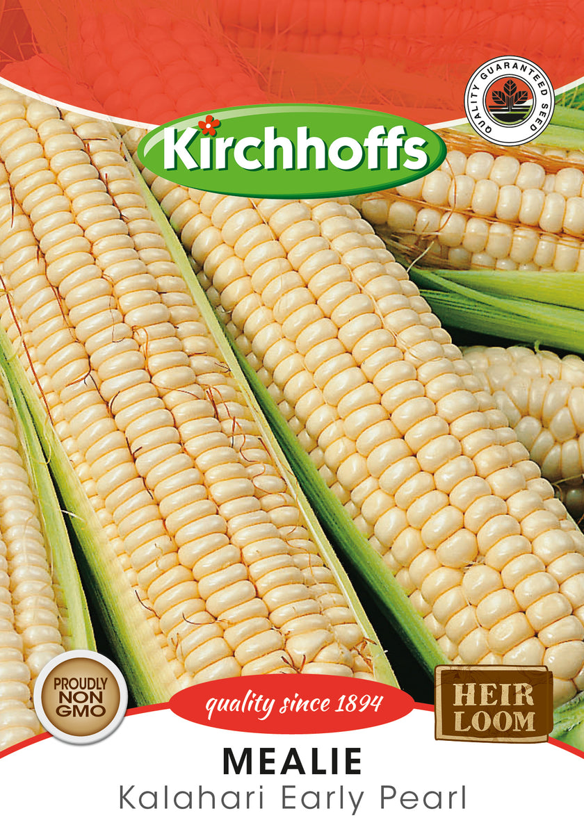 Mealies Kalahari Early Pearl Seeds South Africa
